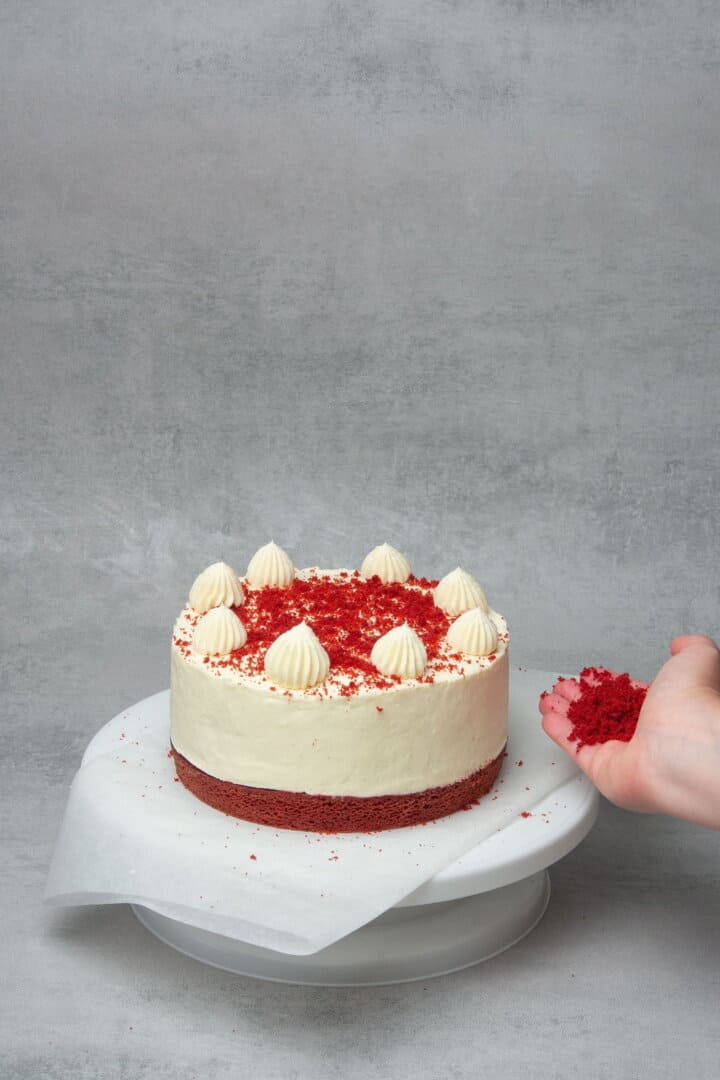 Red Velvet Cake with Cream cheese mousse - Spatula Desserts