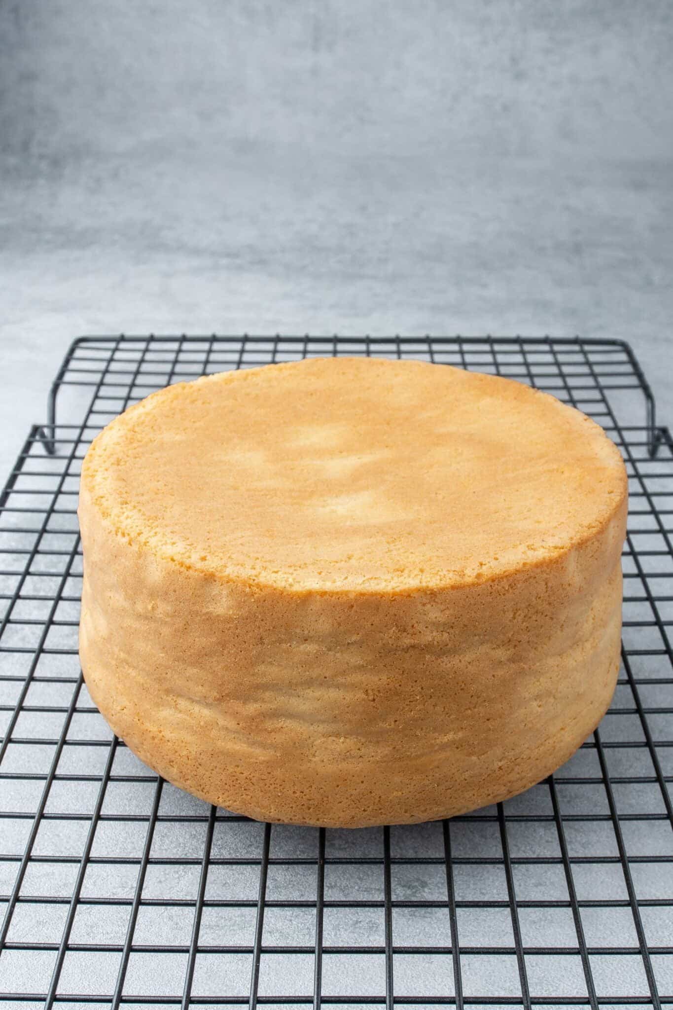 Tall & Moist Sponge cake - Spatula Desserts