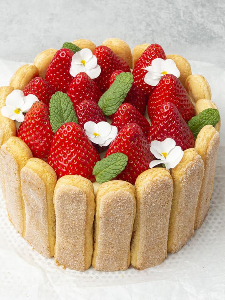 Top 31 Best Ladyfinger Desserts - Spatula Desserts