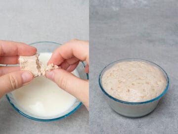 How Much Yeast Is In A Packet - Spatula Desserts