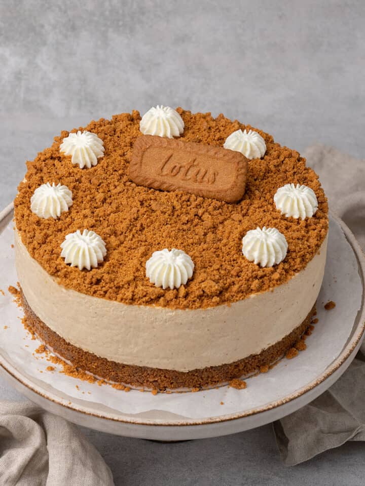 35+ Best Biscoff Recipes From Cakes To Brownies and Cookies, All Made ...