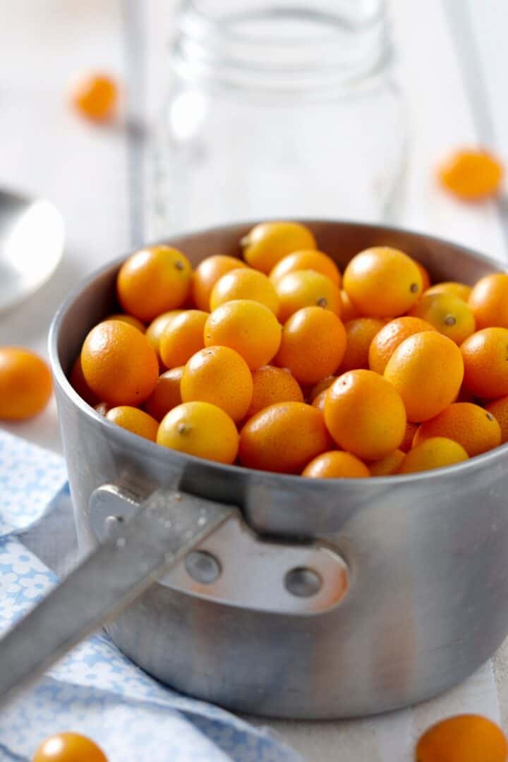 Orange Zest Substitute - Spatula Desserts