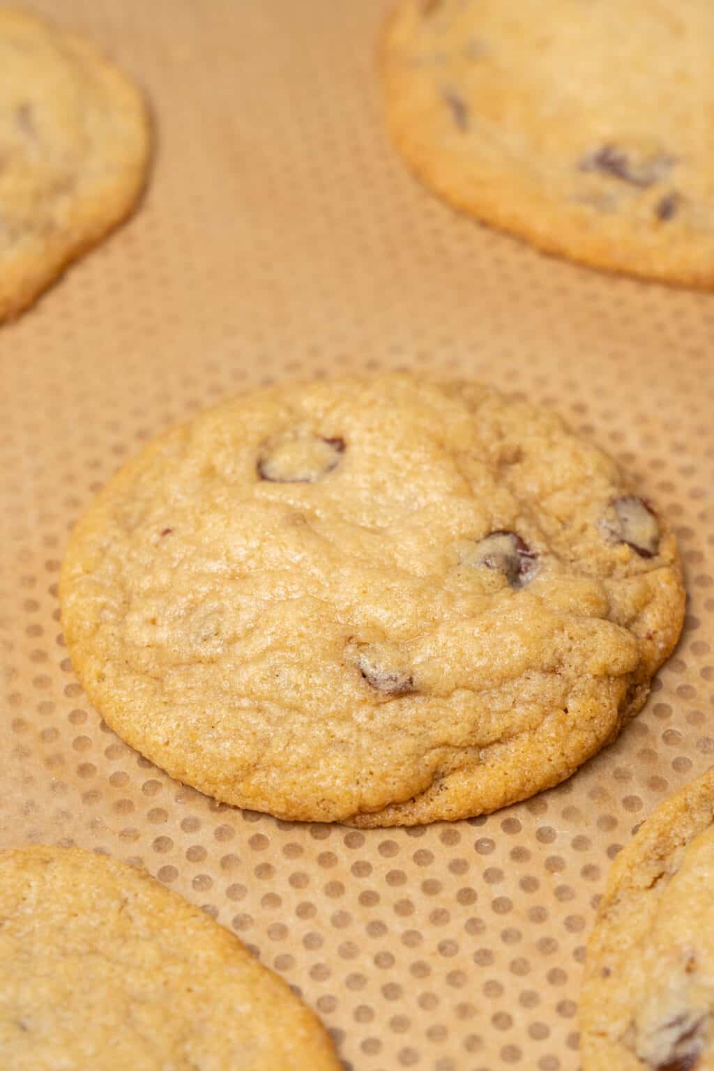 Why Are My Cookies Flat? And Learn How To Fix Them! 14 reasons & how to ...