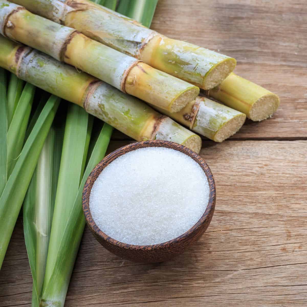 Cane Sugar Vs Granulated Sugar Spatula Desserts Cane Sugar Vs Granulated Sugar Spatula Desserts