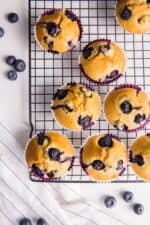 How to store muffins to keep them fresh - Spatula Desserts