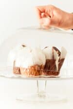 How to store muffins to keep them fresh - Spatula Desserts