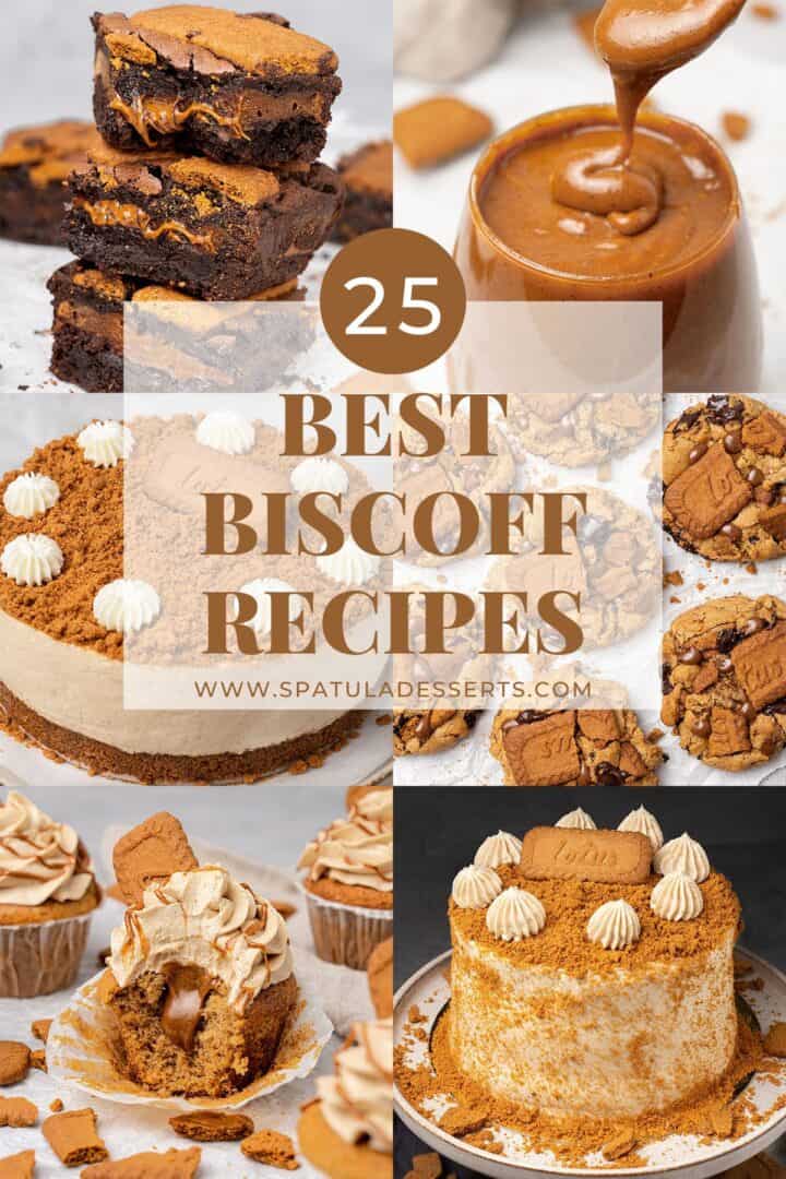 35+ Best Biscoff Recipes From Cakes To Brownies and Cookies, All Made ...