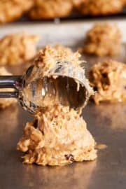 How to Fix Dry and Crumbly Cookie Dough - Spatula Desserts