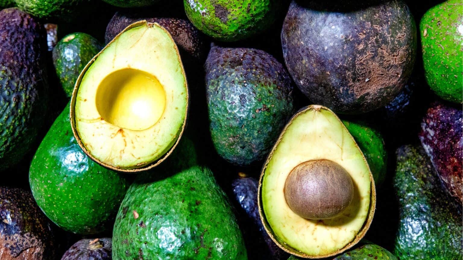 10 summer grocery staples I always buy; they are delicious, satisfying ...