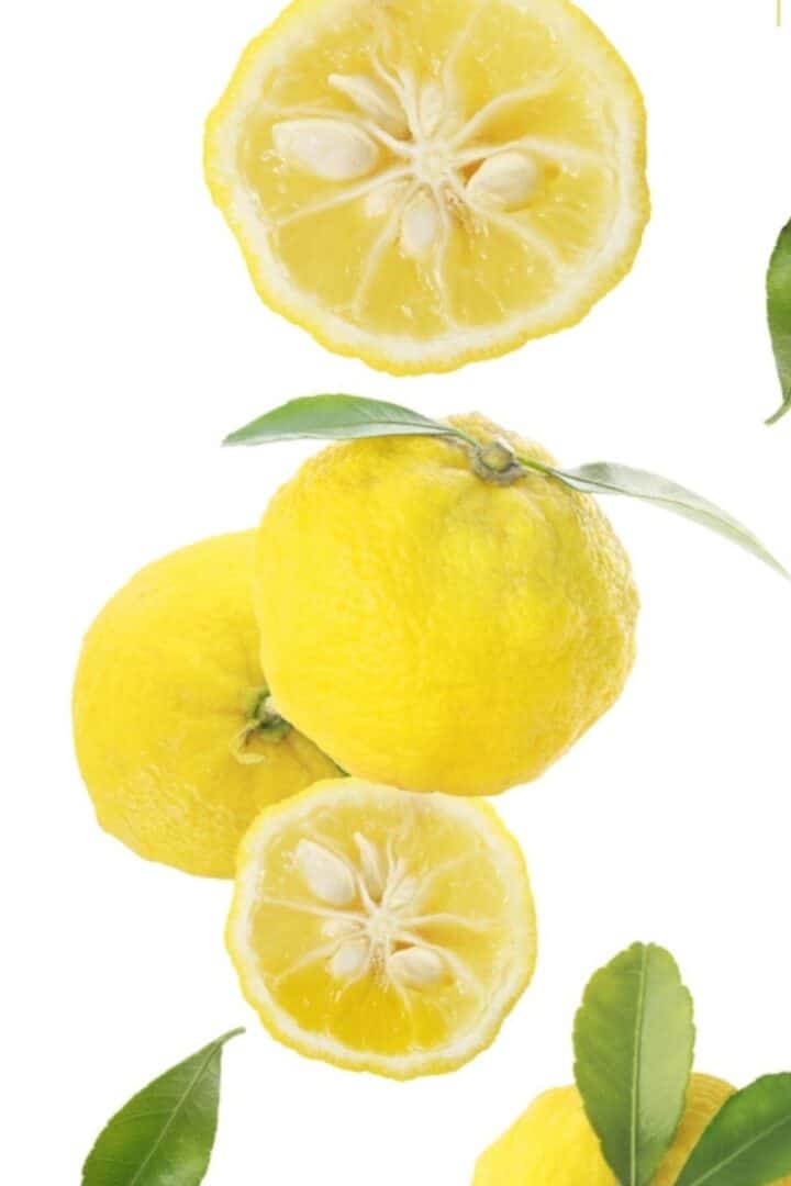 What Is Yuzu Fruit and How Does It Taste (Ultimate Guide) - Spatula ...