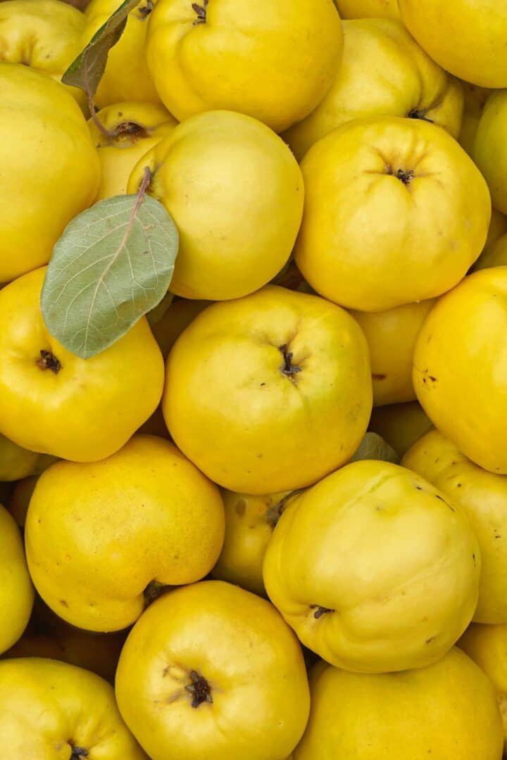 Top 35 Best Yellow Fruits - Spatula Desserts