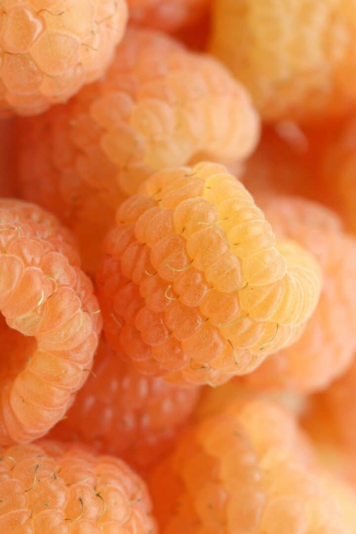 Top 35 Best Yellow Fruits - Spatula Desserts
