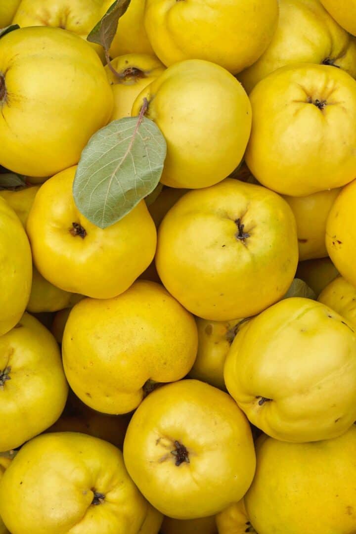 Top 16 Best Fall Fruits (Ultimate Guide) - Spatula Desserts