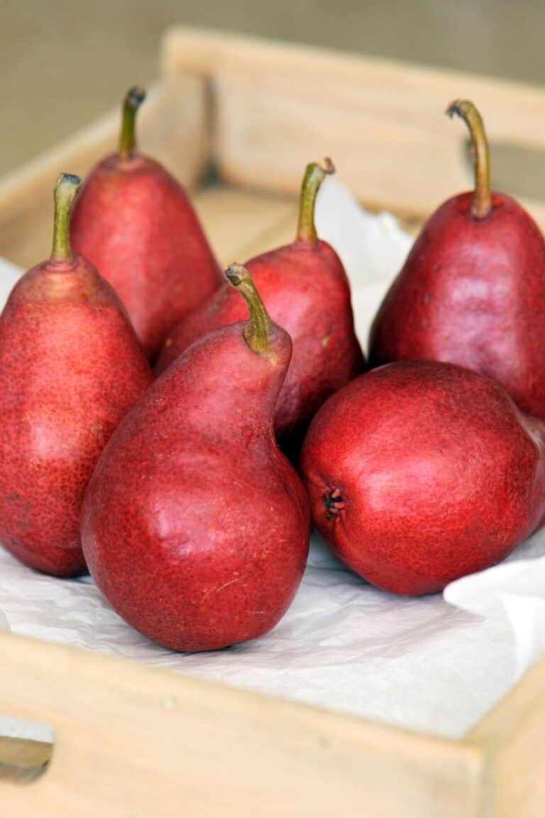 Top 30 Best Red Fruits - Spatula Desserts