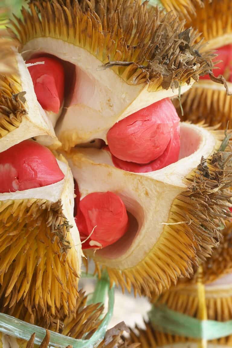 Top 30 Best Red Fruits - Spatula Desserts