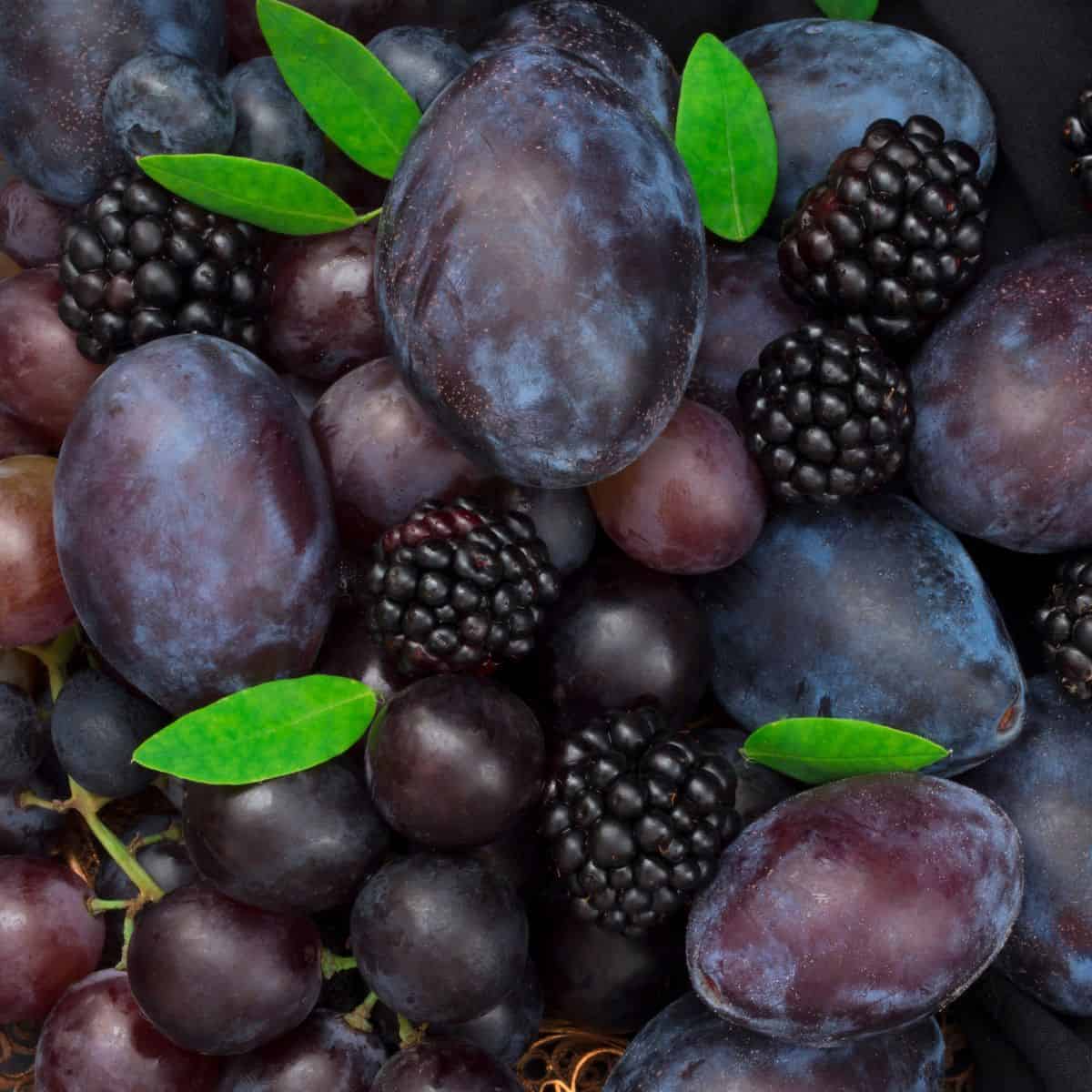 Fruits Bleus