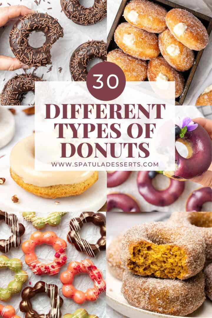 The Ultimate List Of 30 Different Types of Donuts (Recipes) - Spatula ...