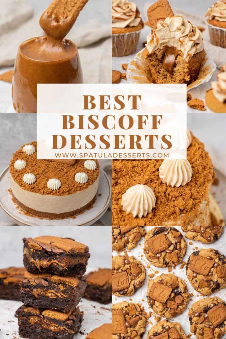 45+ Irresistible Biscoff Recipes - Spatula Desserts