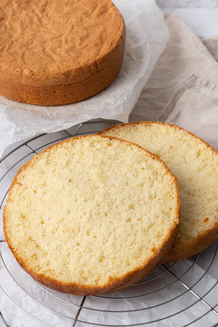 The Best Moist Sponge Cake Recipe - Spatula Desserts
