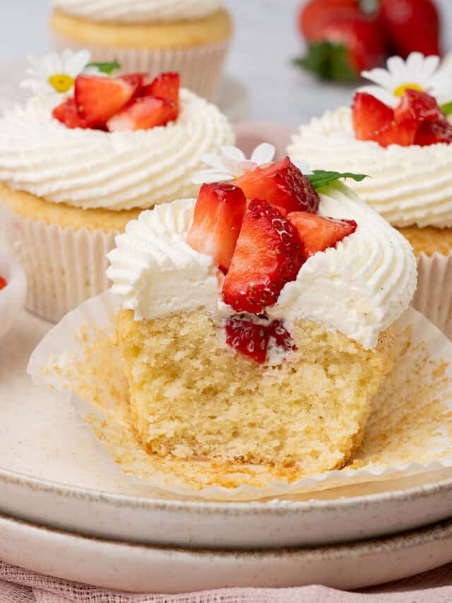 Chocolate Tiramisu - Spatula Desserts