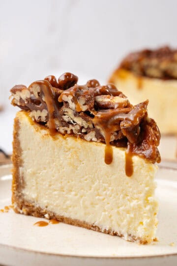 35 Different Types of Cheesecake Recipes All at One Place - Spatula ...